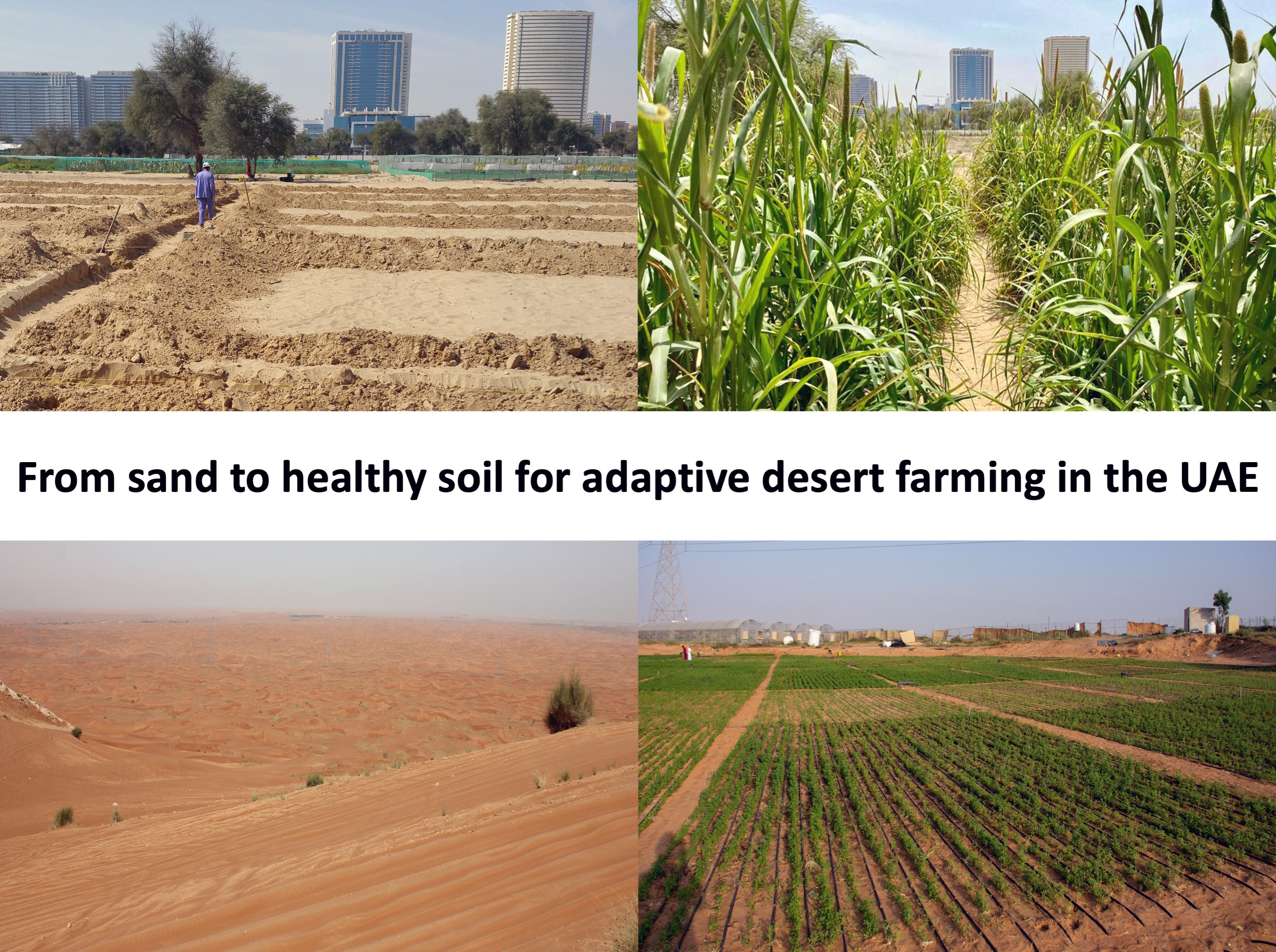 LNC now available for adaptive desert farming in the UAE